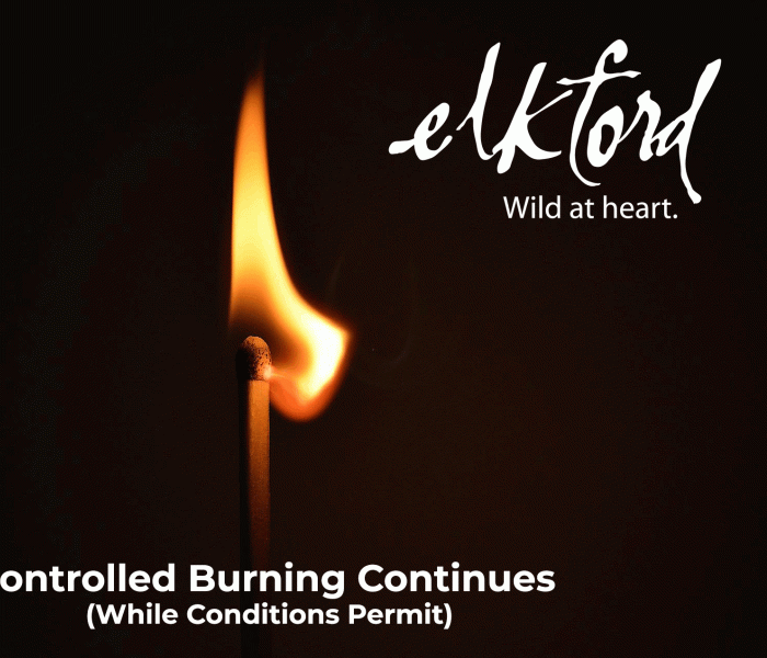 Wildfire Mitigation: Controlled Burning Continues in Elkford (While ...