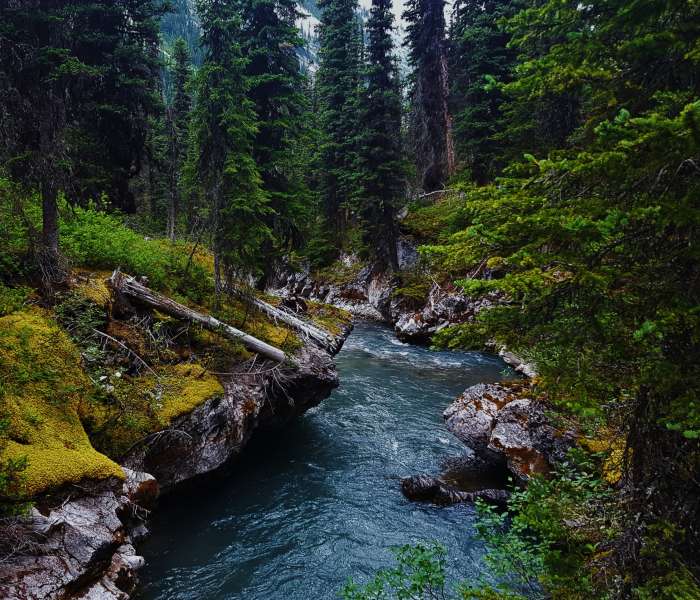 Elkford Municipal Campground | District of Elkford