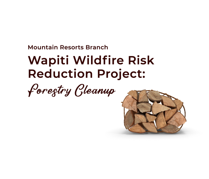 Wapiti Wildfire Risk Reduction Project: Forestry Cleanup from Summer to ...