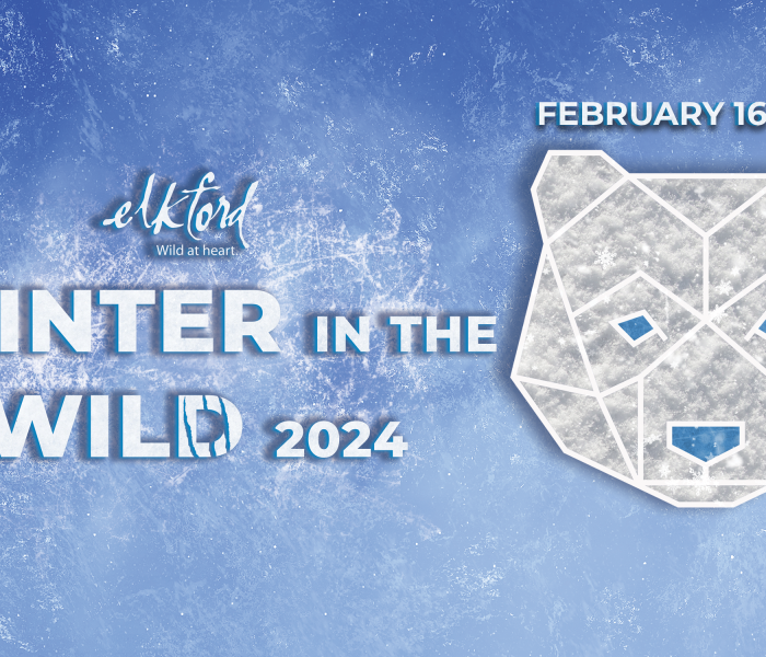 Winter in the Wild 2024: Official Brochure + Map | District of Elkford