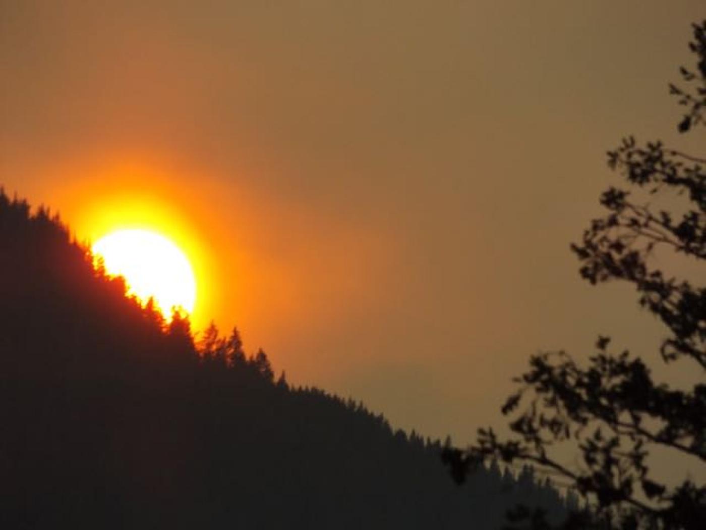 Mayor's Musings for June 2023—By Steve Fairbairn, Mayor for the ...
