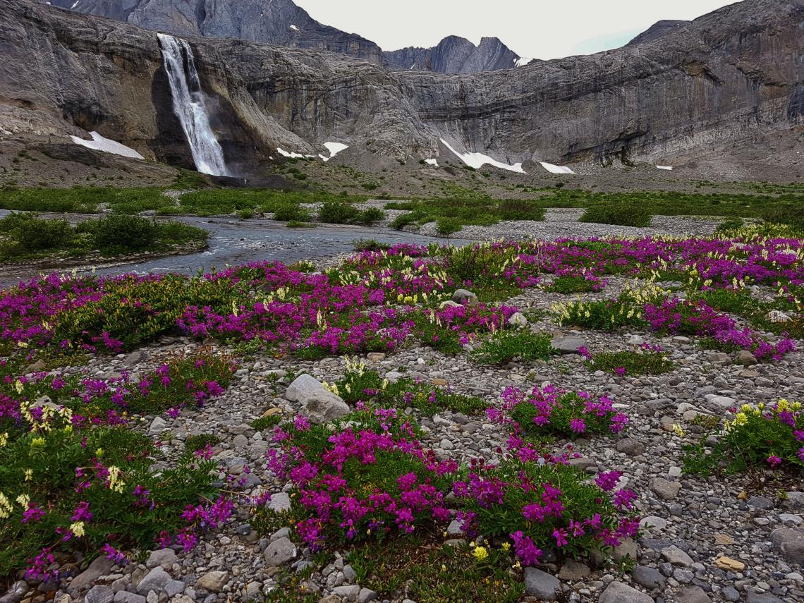 Photo Gallery | District of Elkford