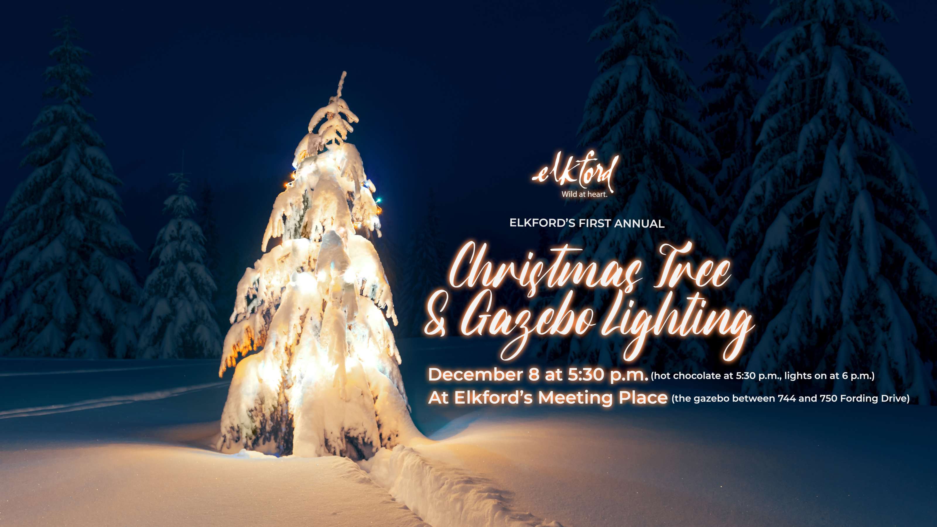 Elkford's First Annual Christmas Tree and Gazebo Lighting! | District ...