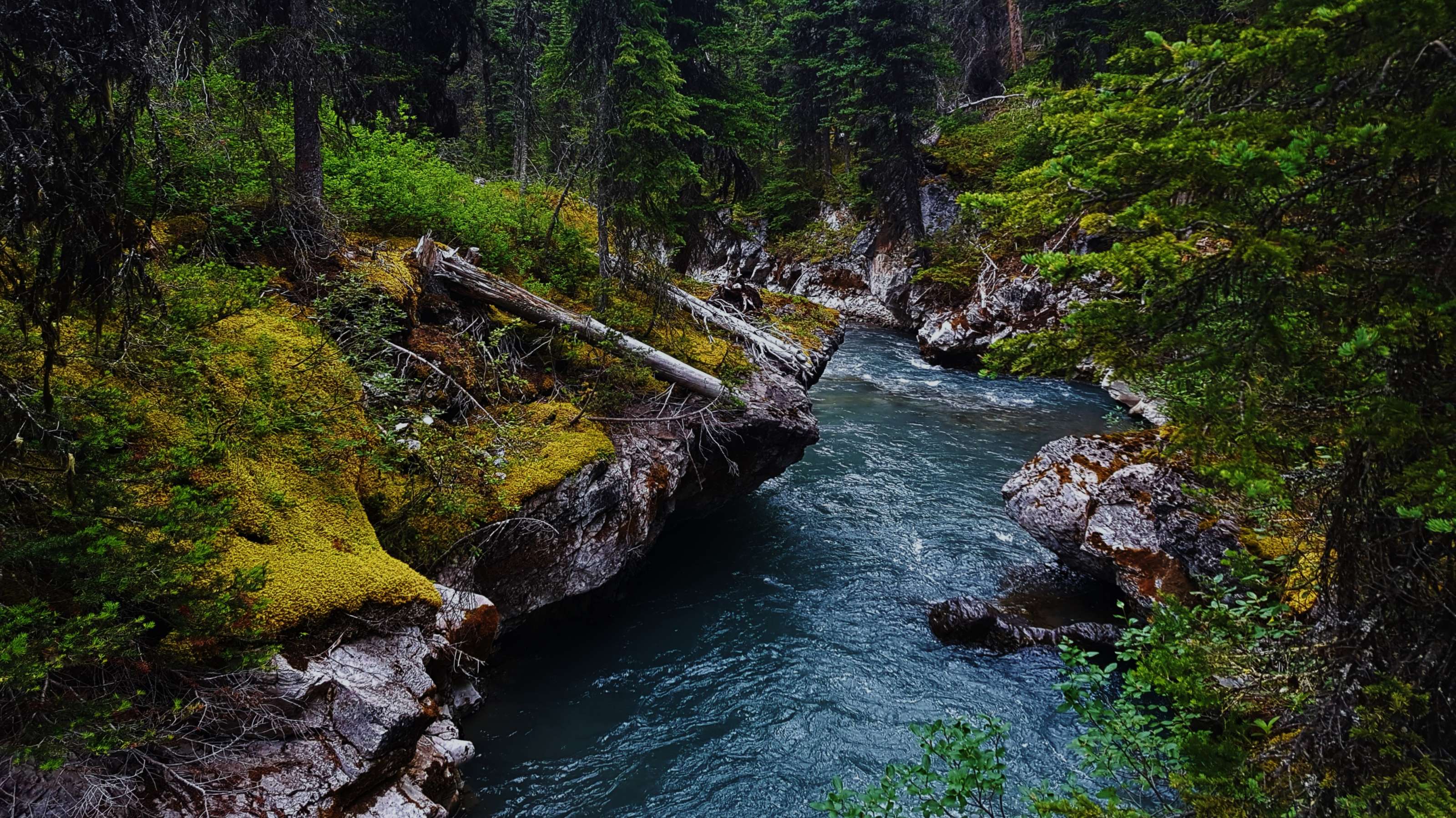 Elkford Municipal Campground | District of Elkford