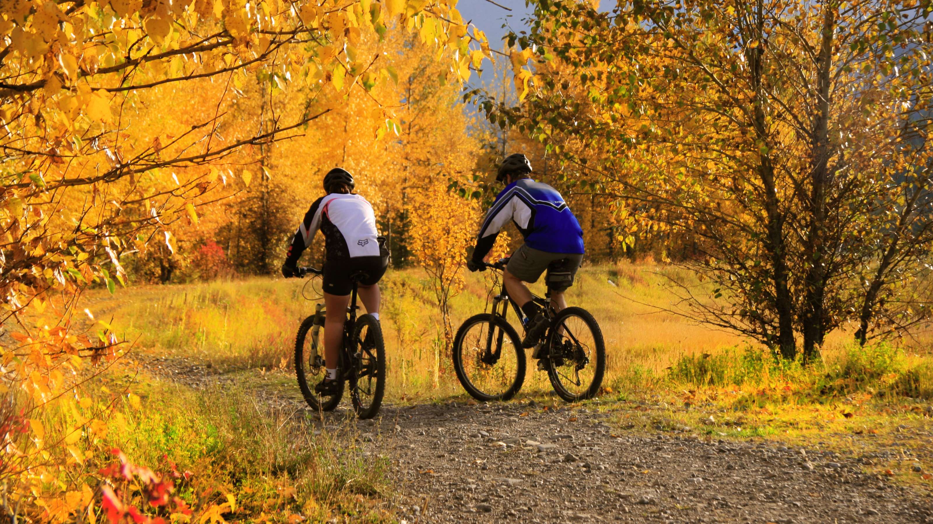 Visit Elkford | District of Elkford