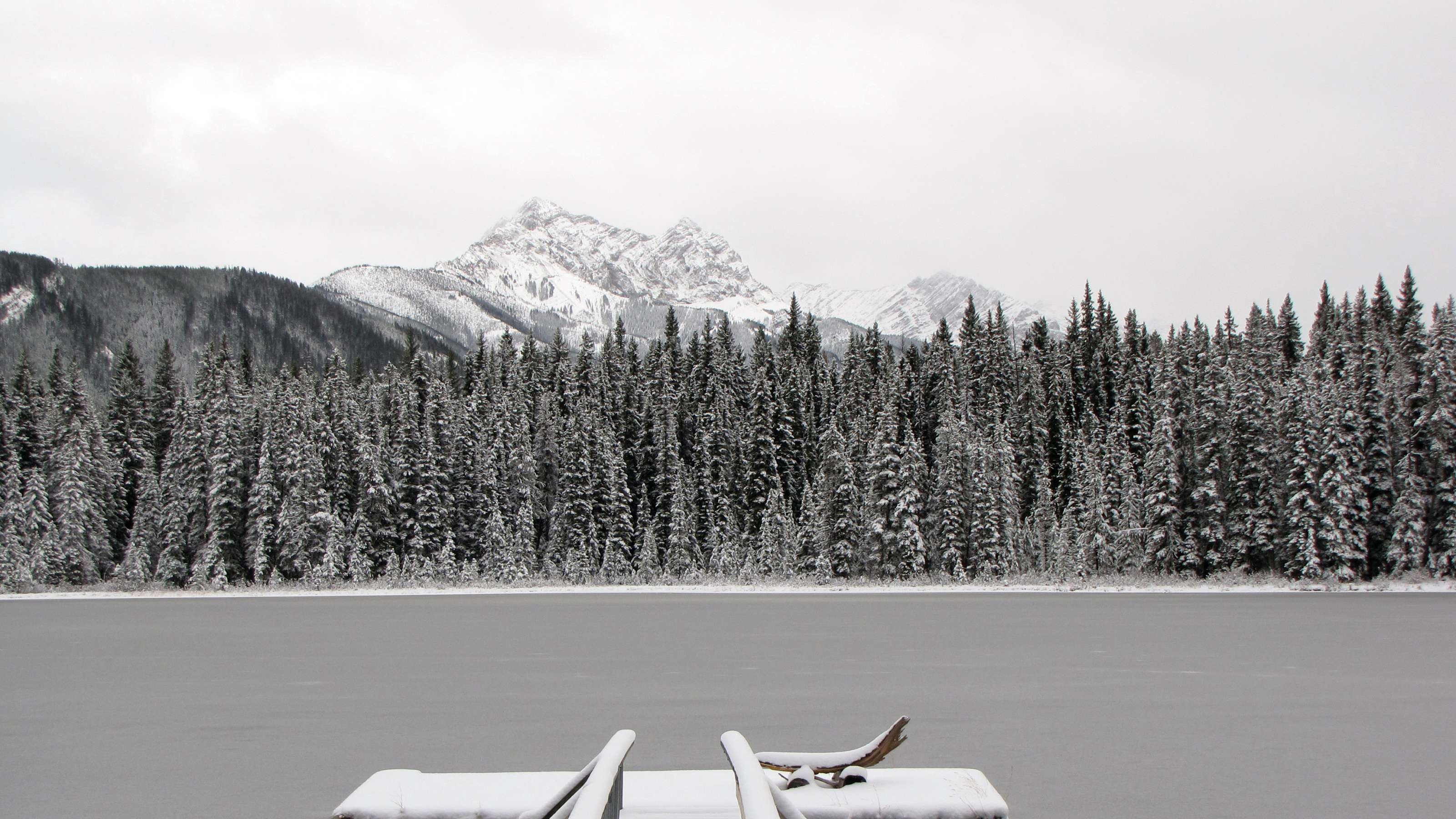 Financial Services | District of Elkford