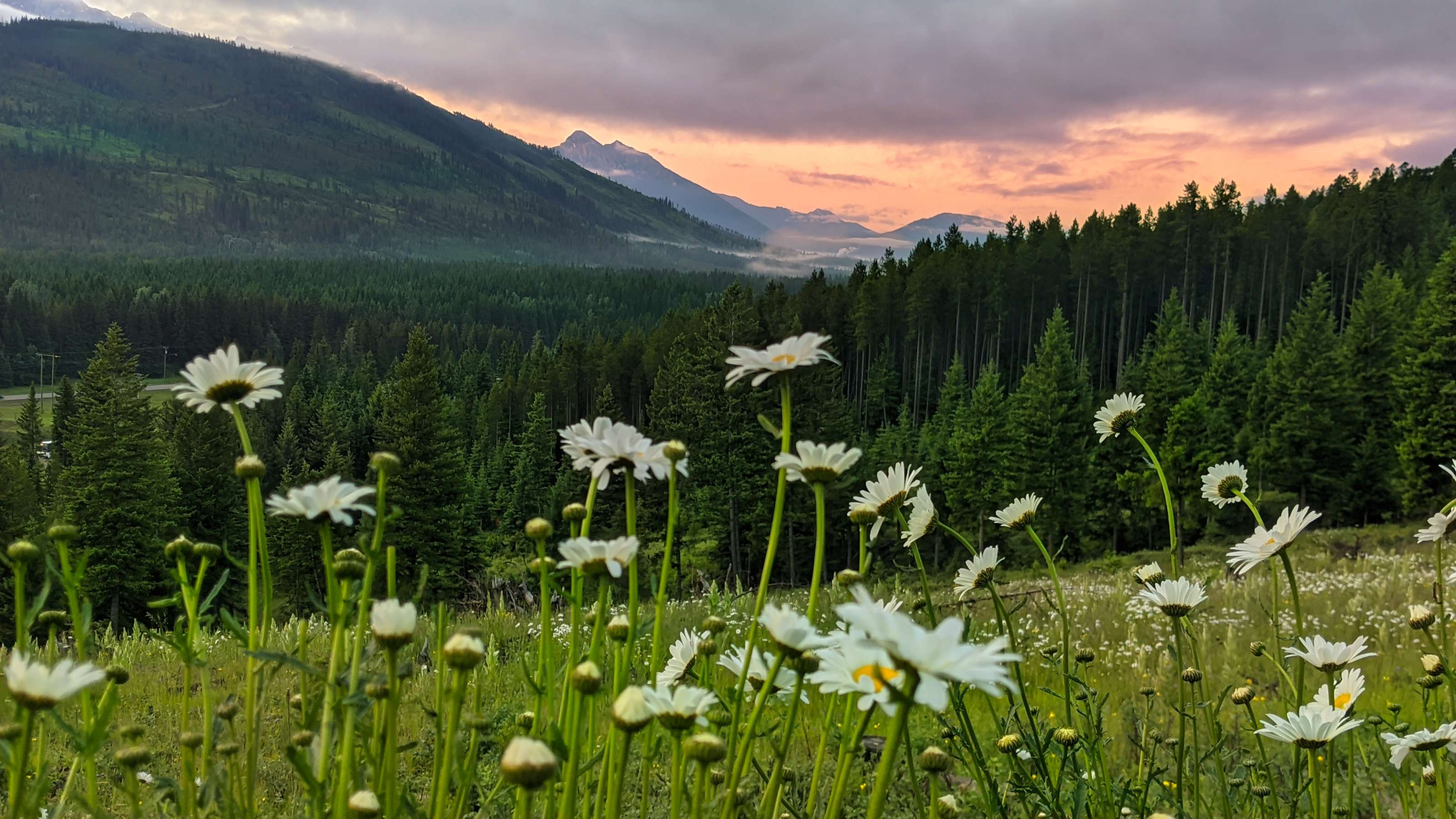 News | District of Elkford